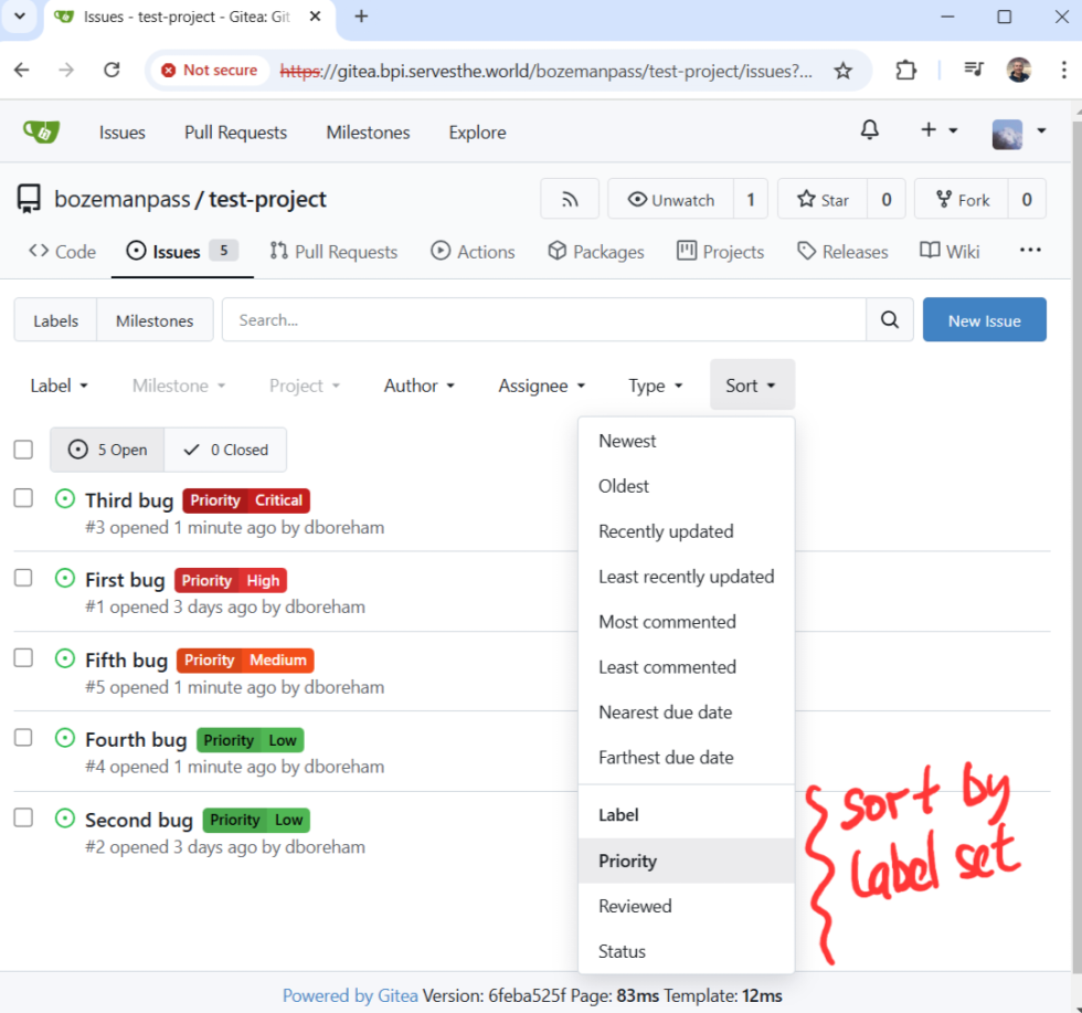 Everything’s a bug (or an issue) | Bozeman Pass, Inc.